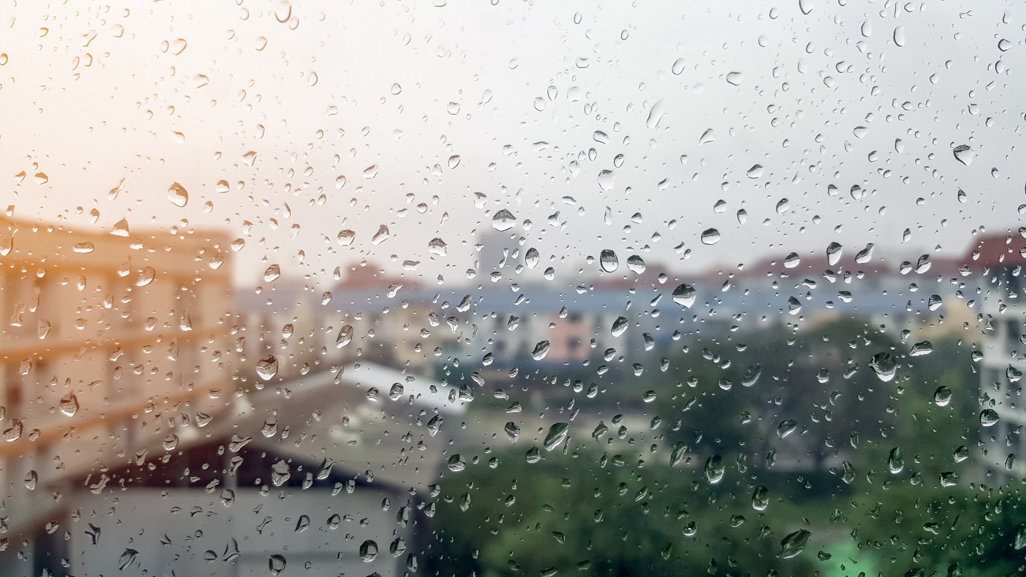 Rainy Season Readiness Checklist - Coastal Caulking & Waterproofing ...